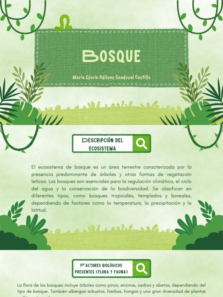 PRESENTACION DE CIENCIAS ECOSISTEMAS | PDF | Los bosques | Suelo