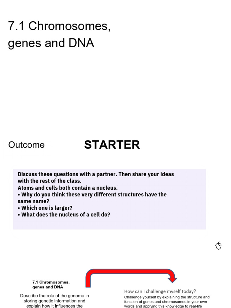 Unit 4 Genes and Inheritance - PDF - 20250226 - 120251 - 0000 | PDF ...