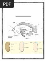 Full Sugested Lesson Plan On Introduction To Integrated Science Form 1 ...