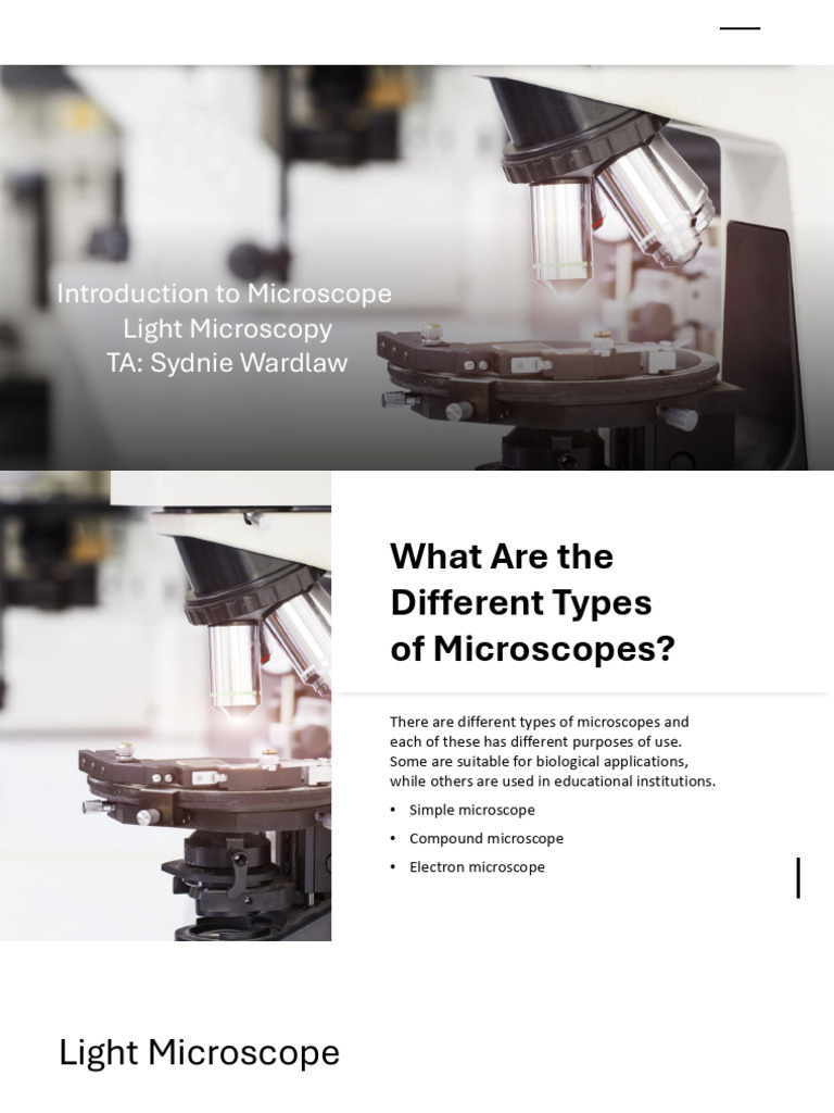 Lab Activity 3 Sec 3,4,7&8- The Microscope and Basic Cell Structure ...
