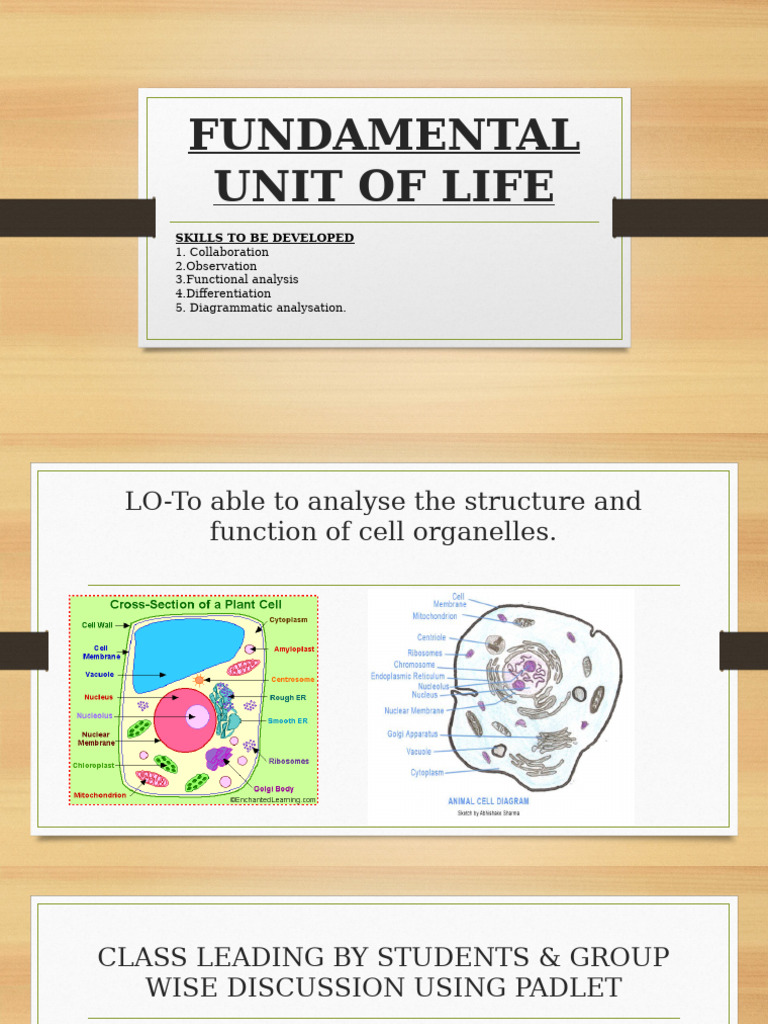 Cell Structure and Function Analysis | PDF