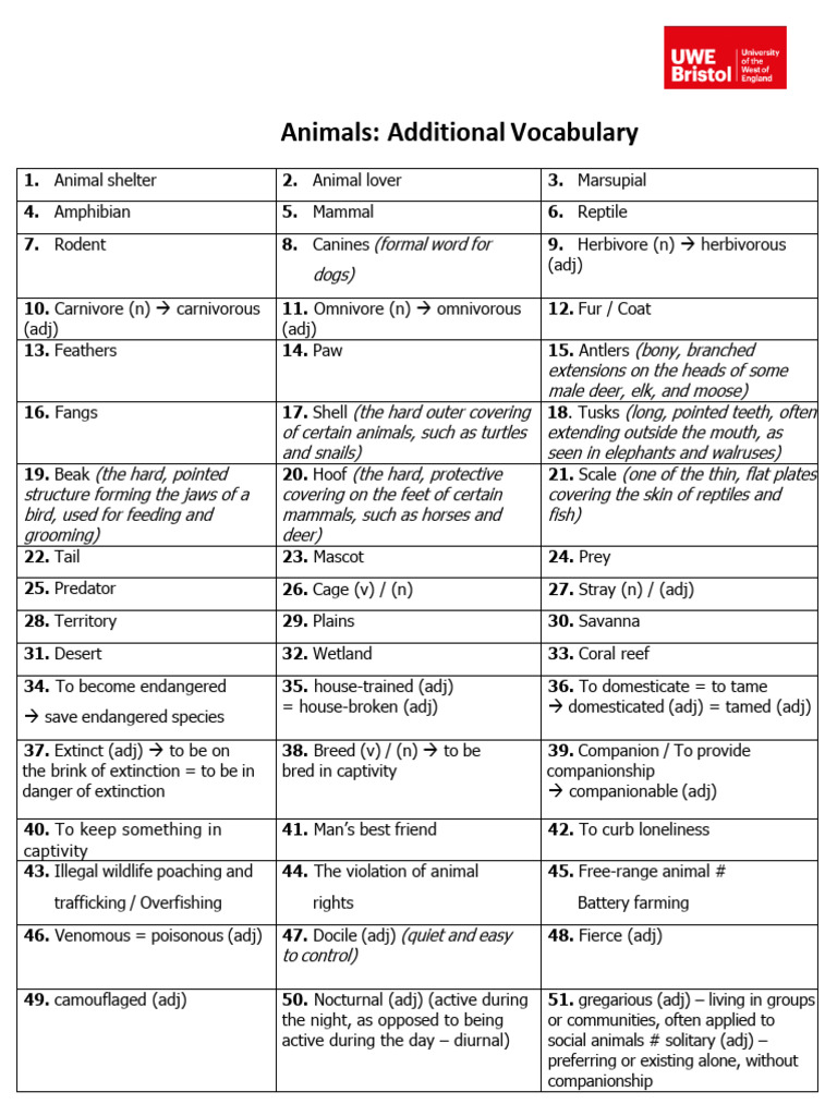 Animals Vocabulary (1) | PDF | Deer | Mammals