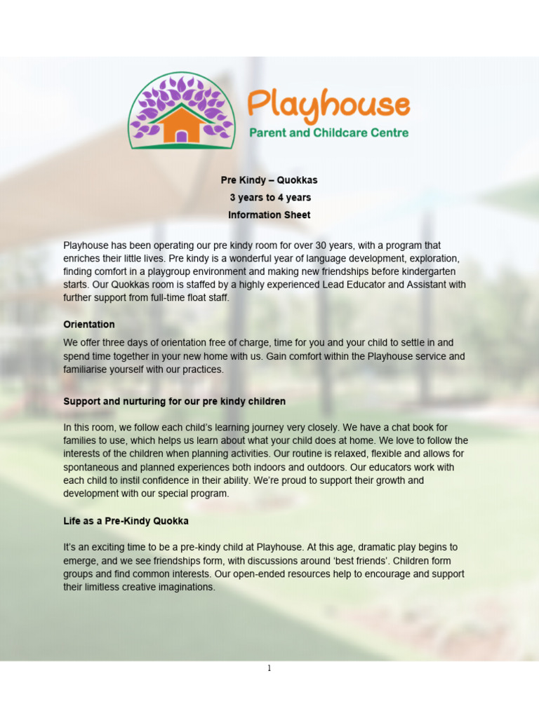 Pre Kindy Information Sheet | PDF