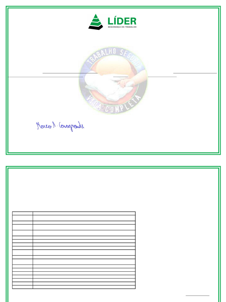 Alexandre, Endrian NR-12 2025 (2ª VIA - ASSINAR) | PDF | Segurança e ...