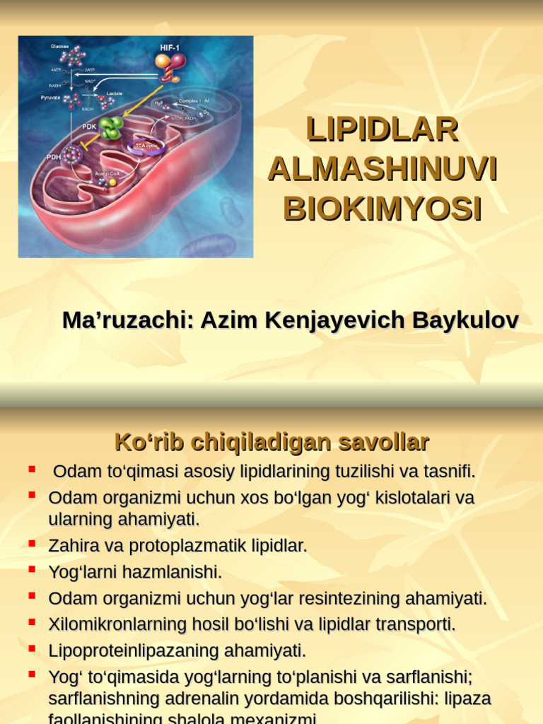 4.lipid Metabolizmi | PDF