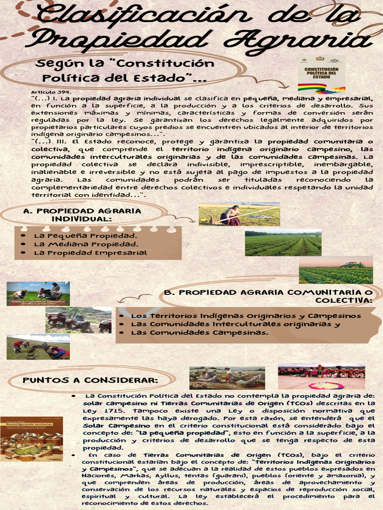 Clasificación de la Propiedad Agraria | PDF | Propiedad | Campesino