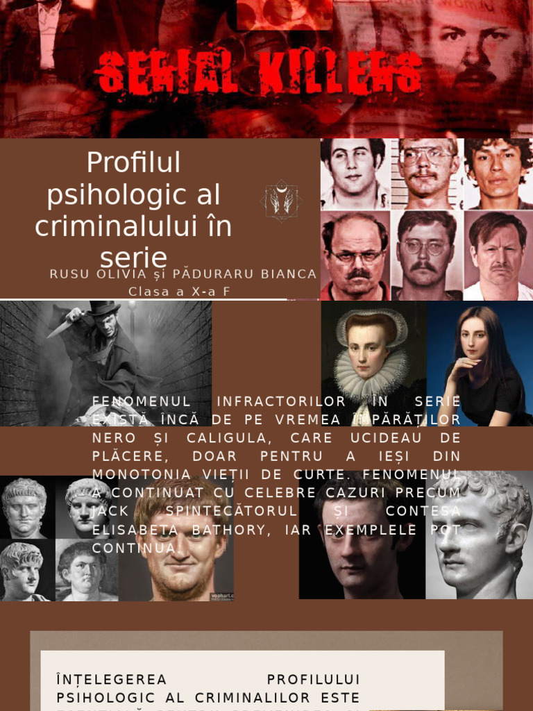 Profilul Psihologic Al Criminalului În Serie | PDF