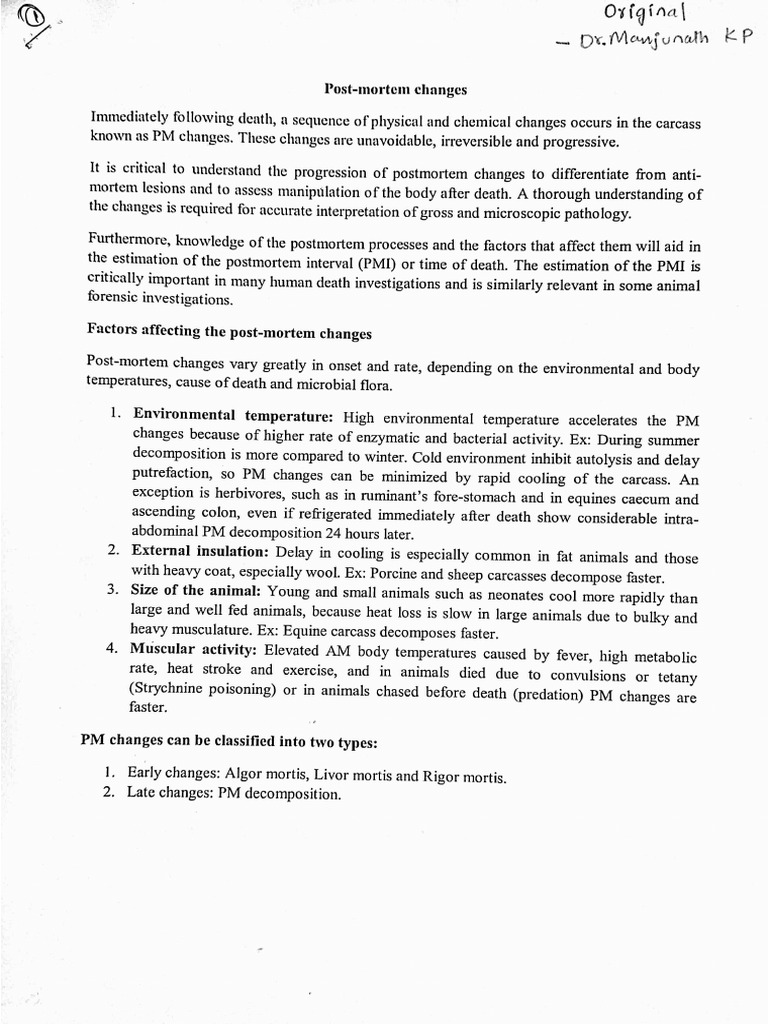 Post Mortem Changes | PDF