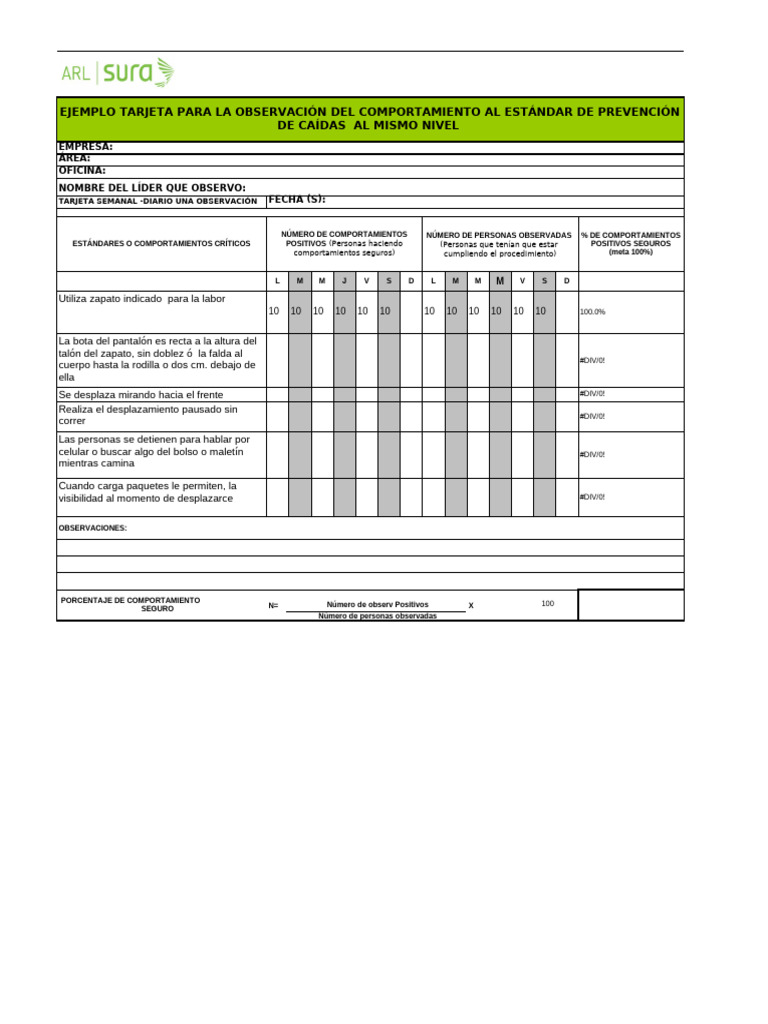 Anexo 5. Tarjeta Observacion Caidas | PDF