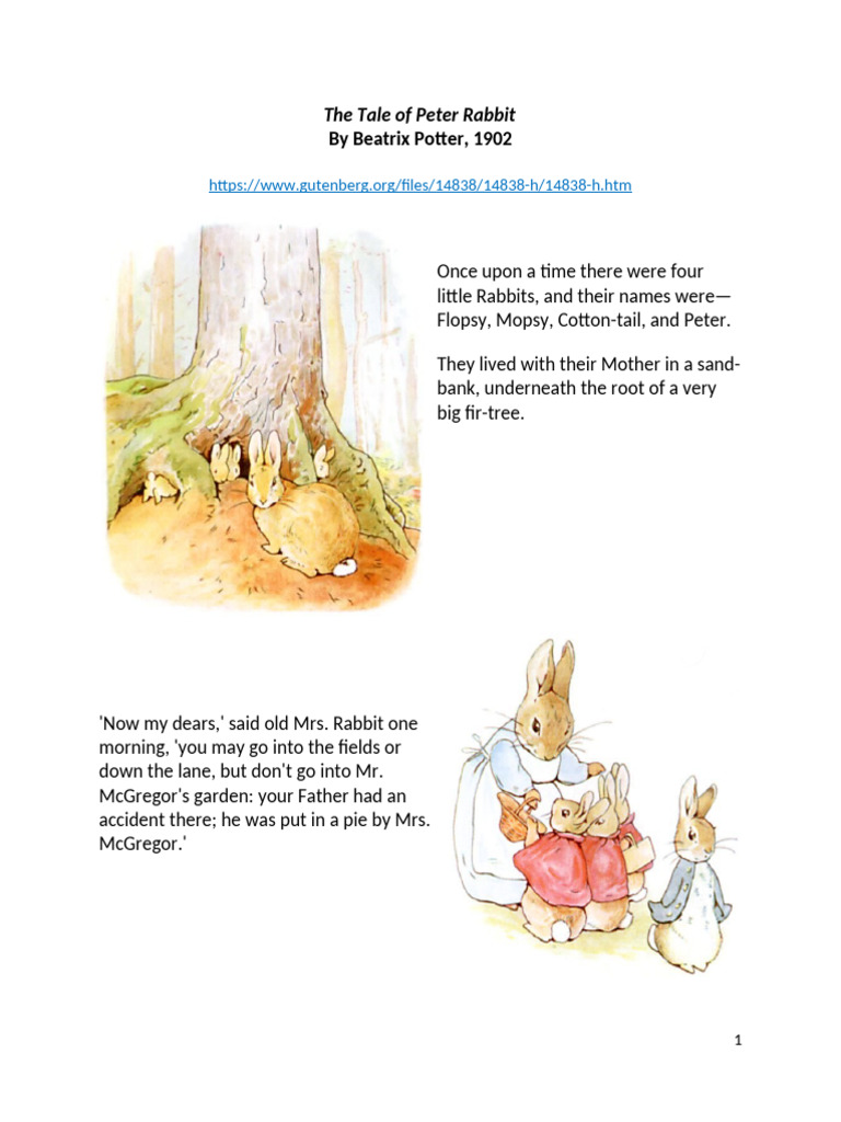 Peter Rabbit's Garden Adventure | PDF | Peter Rabbit