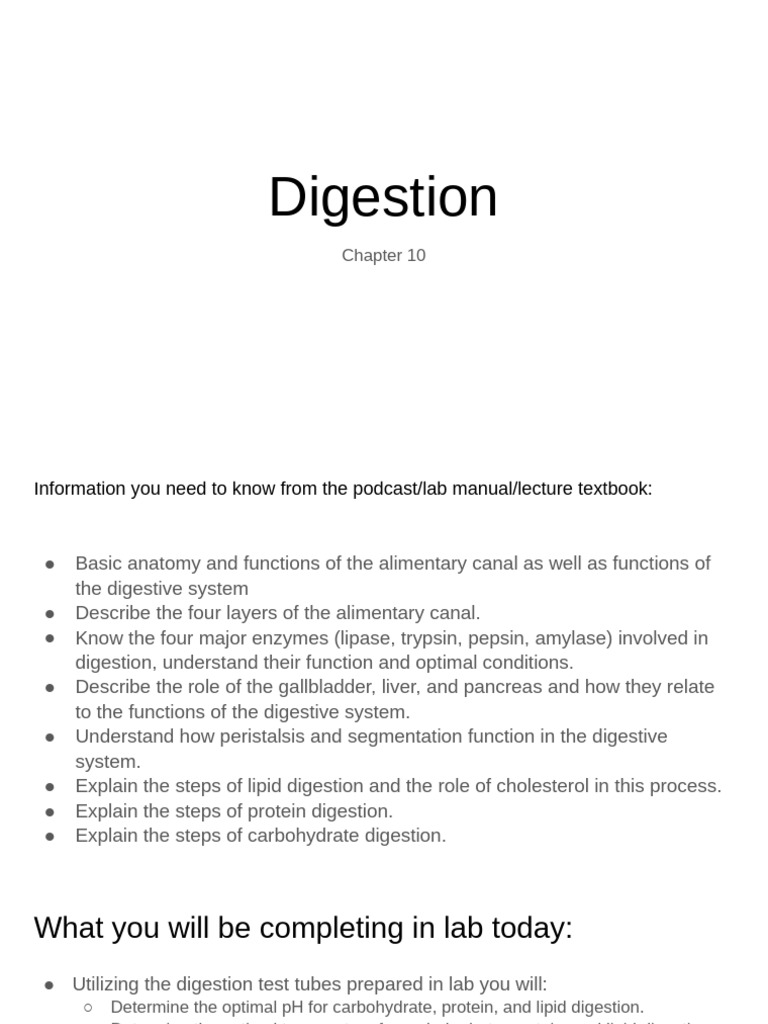 Digestion Teaching Slides | PDF