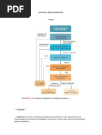 VED - Protocolo Completo | PDF