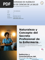 El Secreto Profesional en Enfermeria | PDF