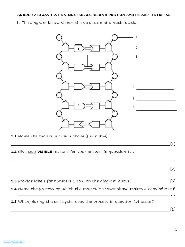 Grade 12 Combined Test On Nucleic Acids Protein Synthesis | PDF ...