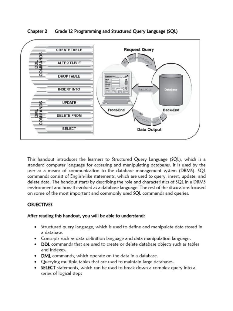 Chapter 2 Grade 12 Programming and Structure Query Language S | PDF ...