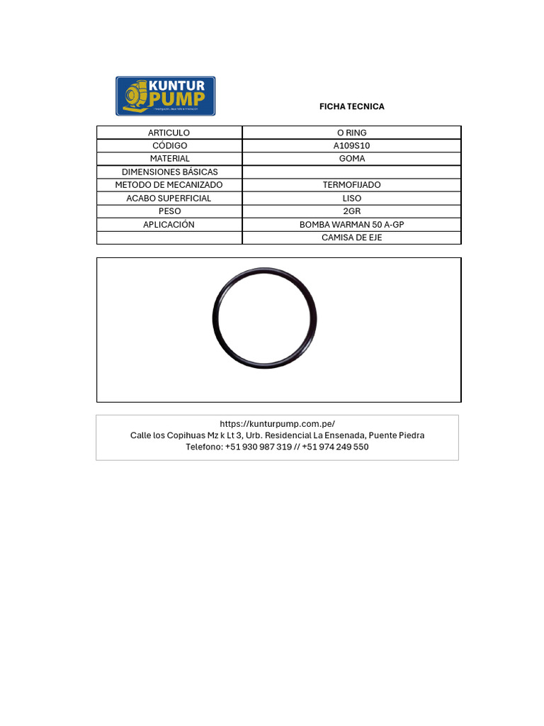 O Ring A109s10 | PDF