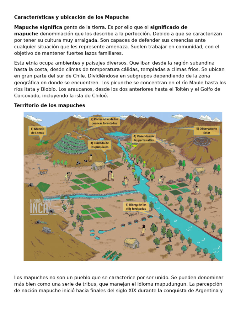 Características y Ubicación de Los Mapuche | PDF | Chile