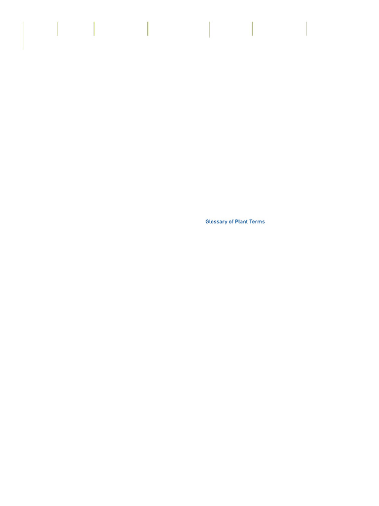 Glossary of Plant Terms | PDF | Root | Plants