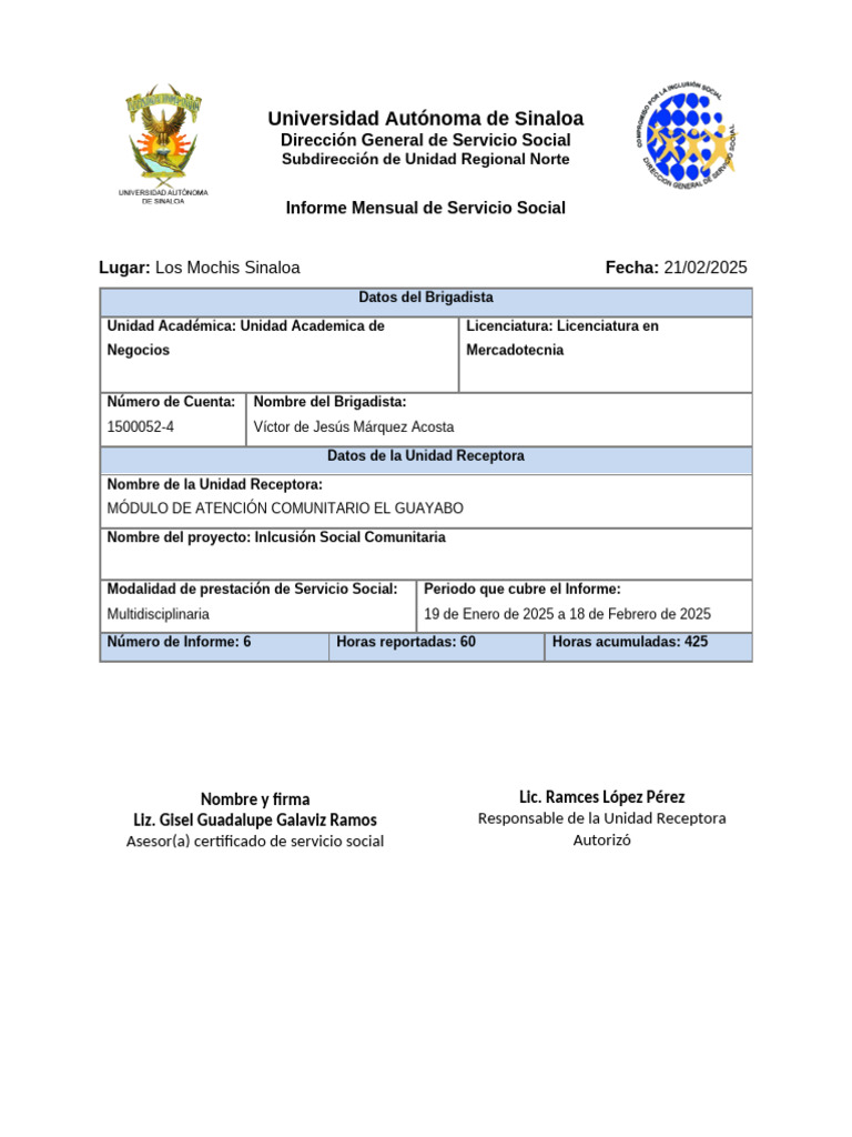Formato - Infome Mensual | PDF