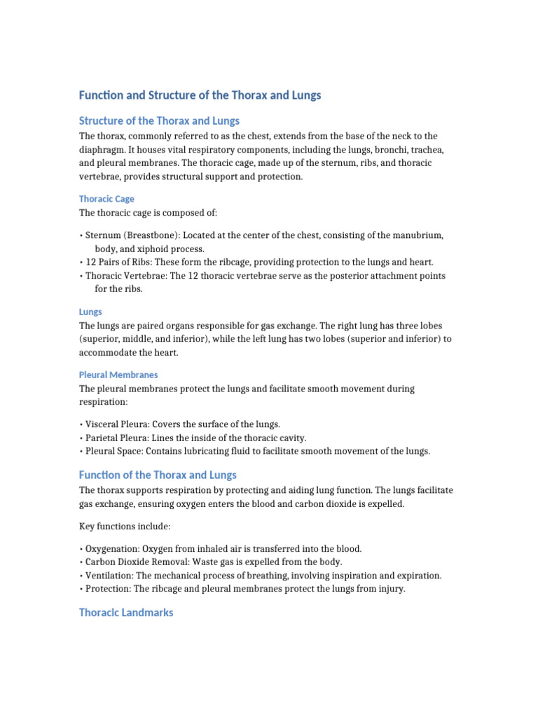 Updated Function and Structure of Thorax and Lungs | PDF