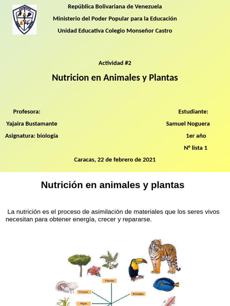 2da Actividad. | PDF | Excreción | Respiración