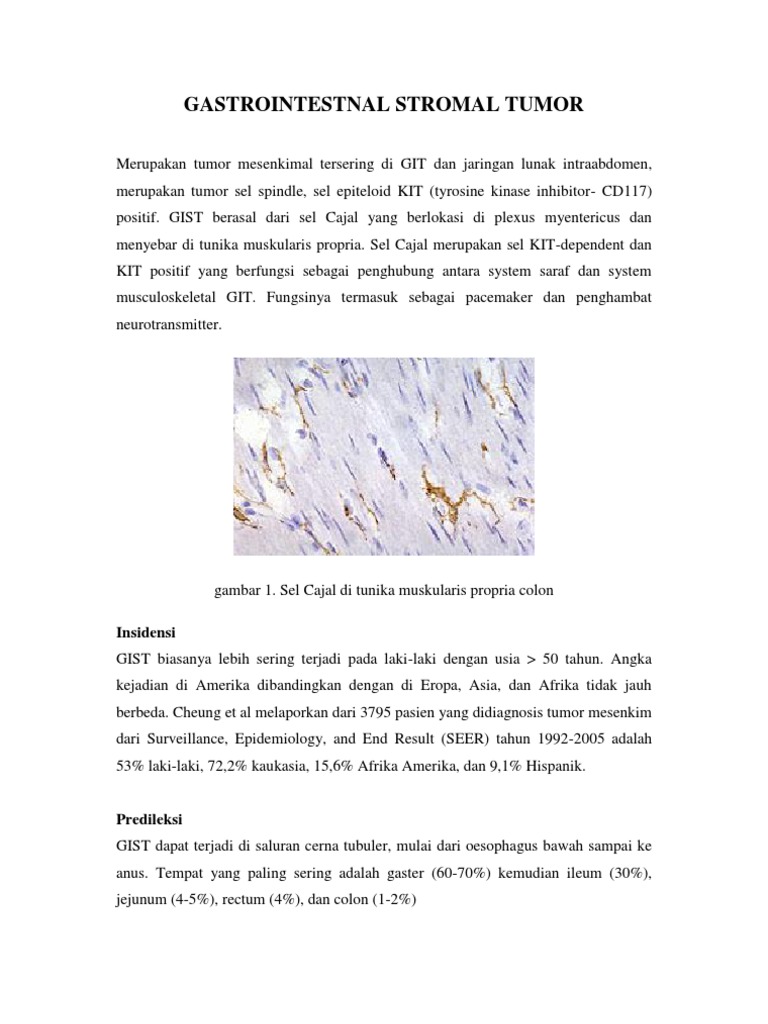 Gastrointestinal Stromal Tumor | PDF