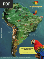 Mapa - Do - Brasil - Povos Indígenas - 20025 | PDF | Povos indígenas ...