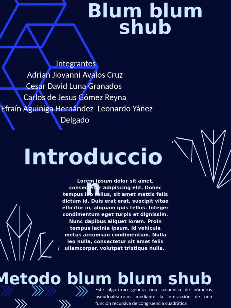 Blum Blum Shub | PDF