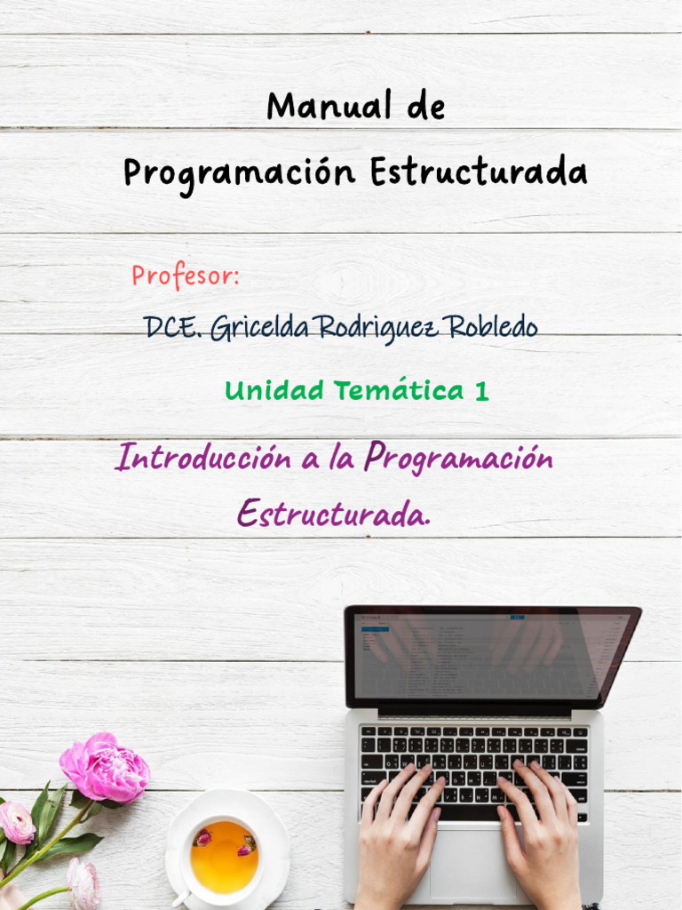 Introducción a Programación Estructurada | PDF | Entorno de desarrollo ...