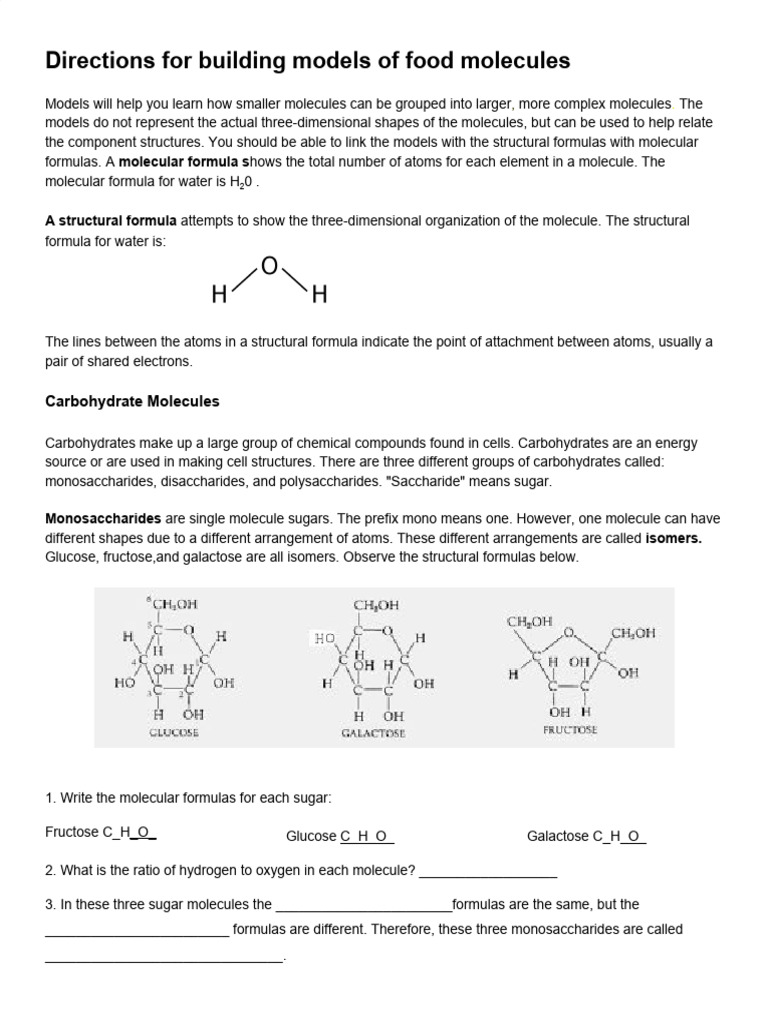 04 Building Molecules of Life Instructions | PDF | Carbohydrates | Glucose