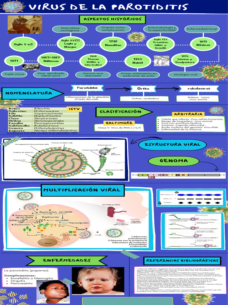 Virus de La Parotiditis. Infografía | PDF | Virus | Organismos