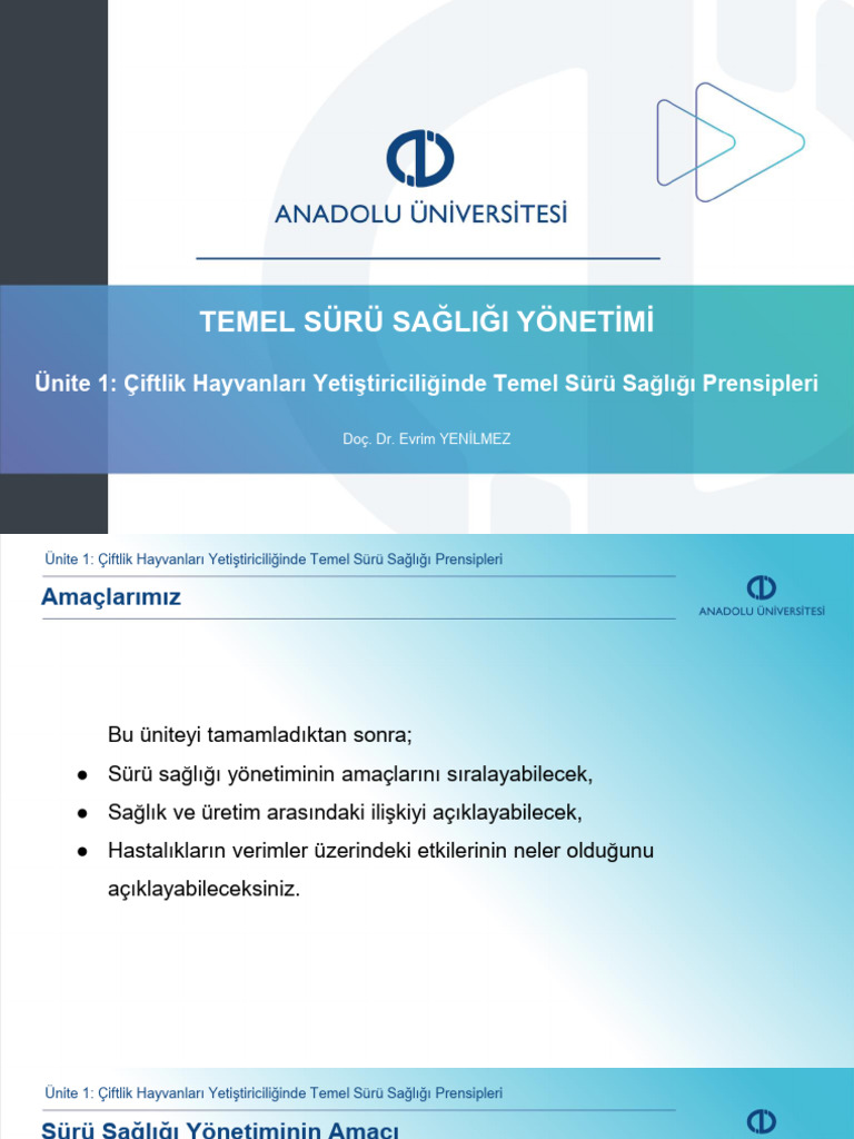 Temel Sürü Sağlığı Yönetimi Ders Sunumları | PDF