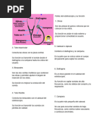 Partes Del Estetoscopio y Sus Funciones | PDF
