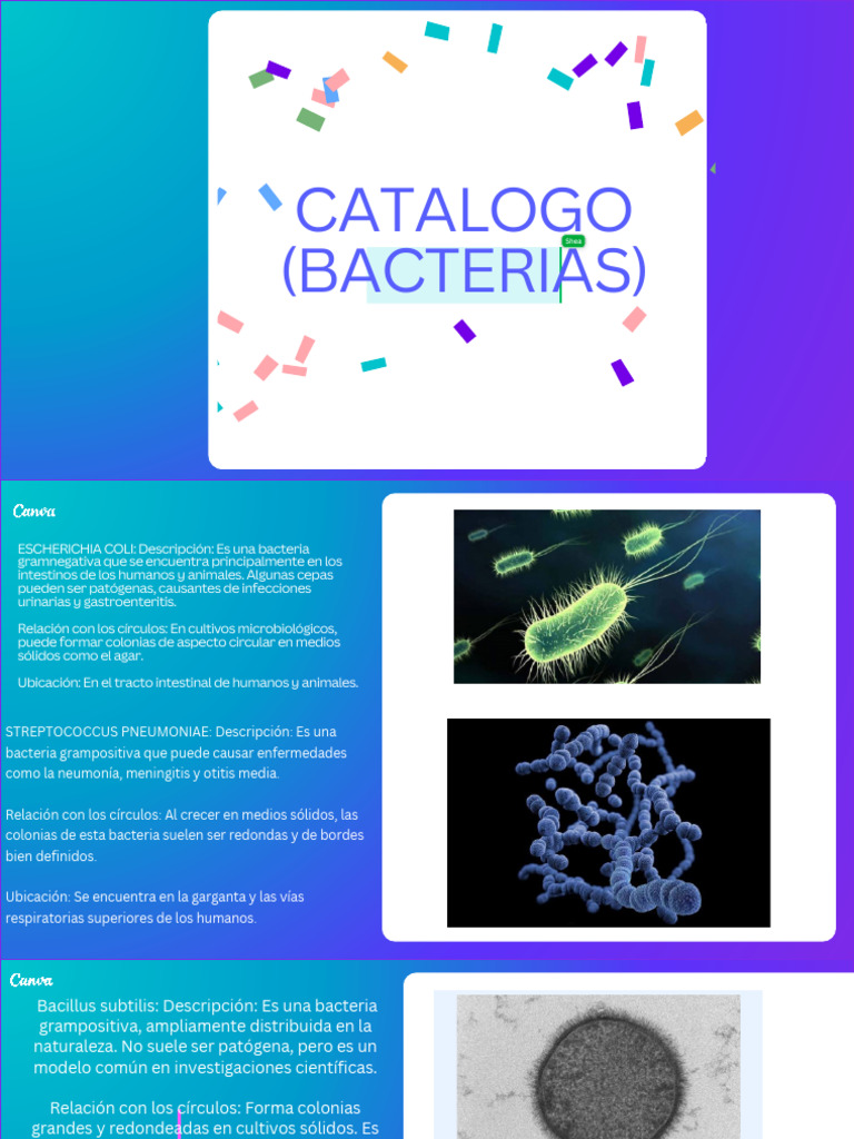 CATALOGO BACTERIAS-1 | PDF | Las bacterias | Escherichia coli