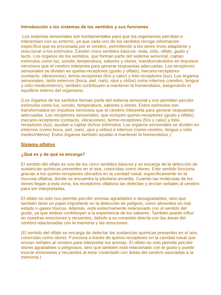 Funciones y Estructura del Olfato | PDF | Sentidos | Sistema nervioso