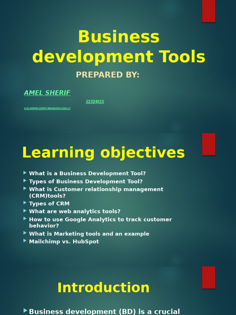 Business Development TL | PDF | Customer Relationship Management ...