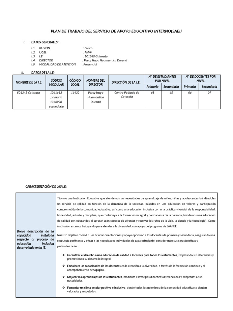 Plan de Trabajo SAEI 2025 | PDF | Inclusión (Educación) | Enseñando