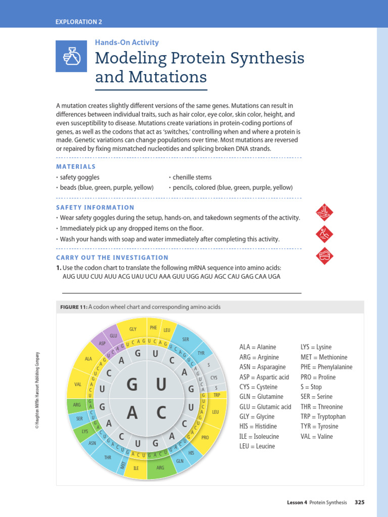Protein Synthesis & Folding Activity Sheet | PDF | Genetic Code | Proteins
