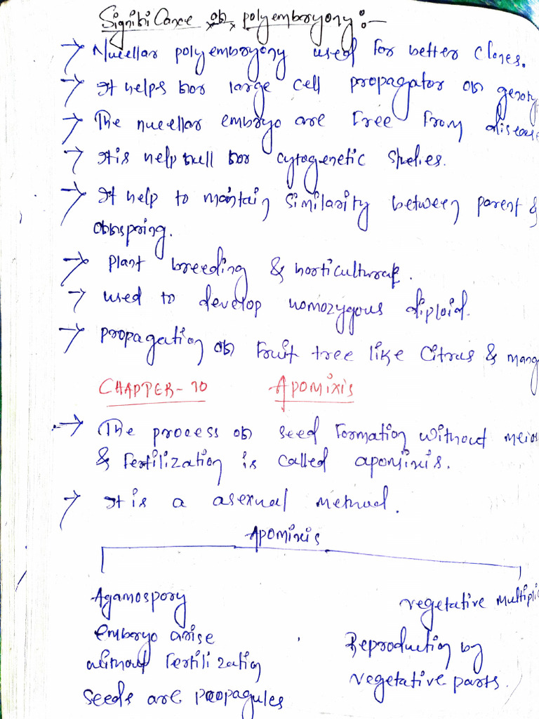 Core 11 Botany | PDF