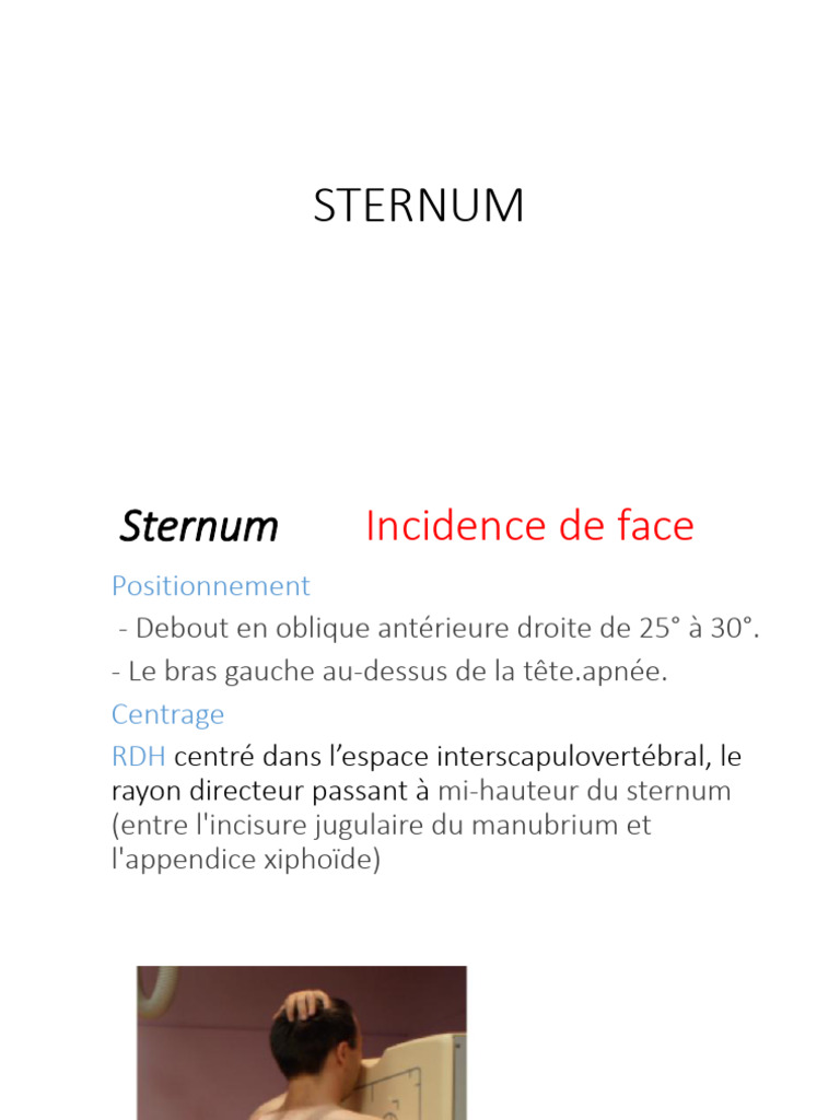 Analyse du Gril Costal et Sternum | PDF