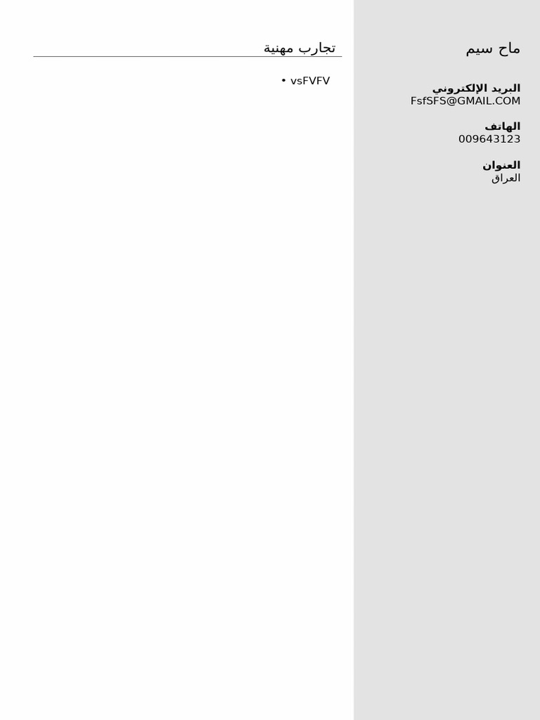 Arabic CV 2 | PDF