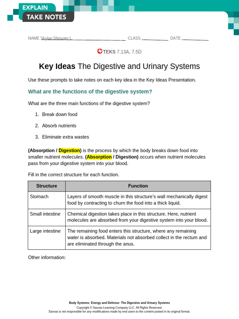 Copy of Notes Assignment: The Digestive & Urinary Systems | PDF ...