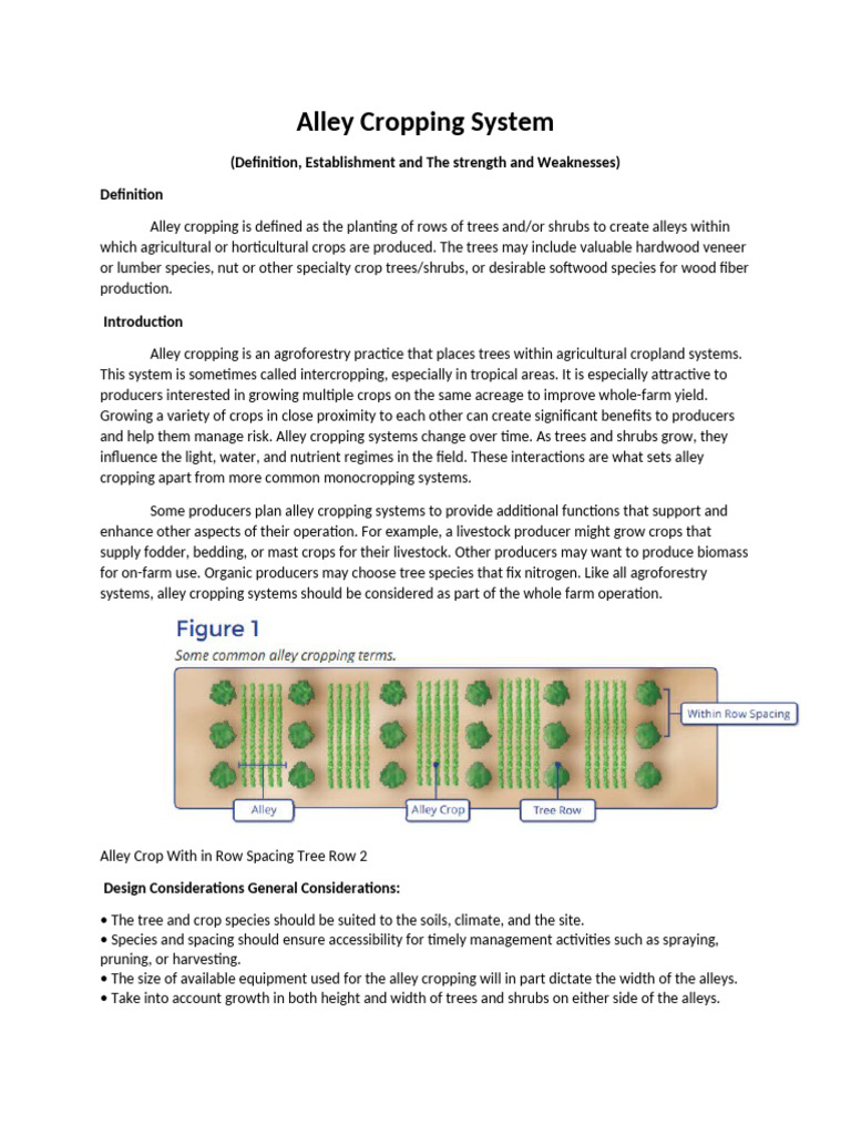 Alley Cropping System Word | PDF | Agriculture | Trees