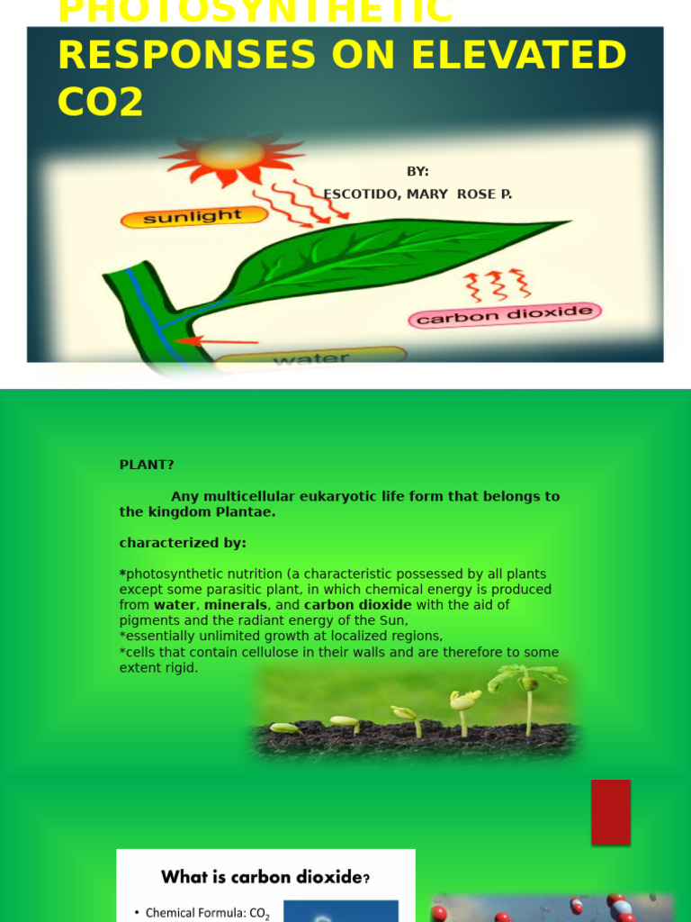 Elevated CO2 Effects on Photosynthesis | PDF | Carbon Dioxide | Photosynthesis