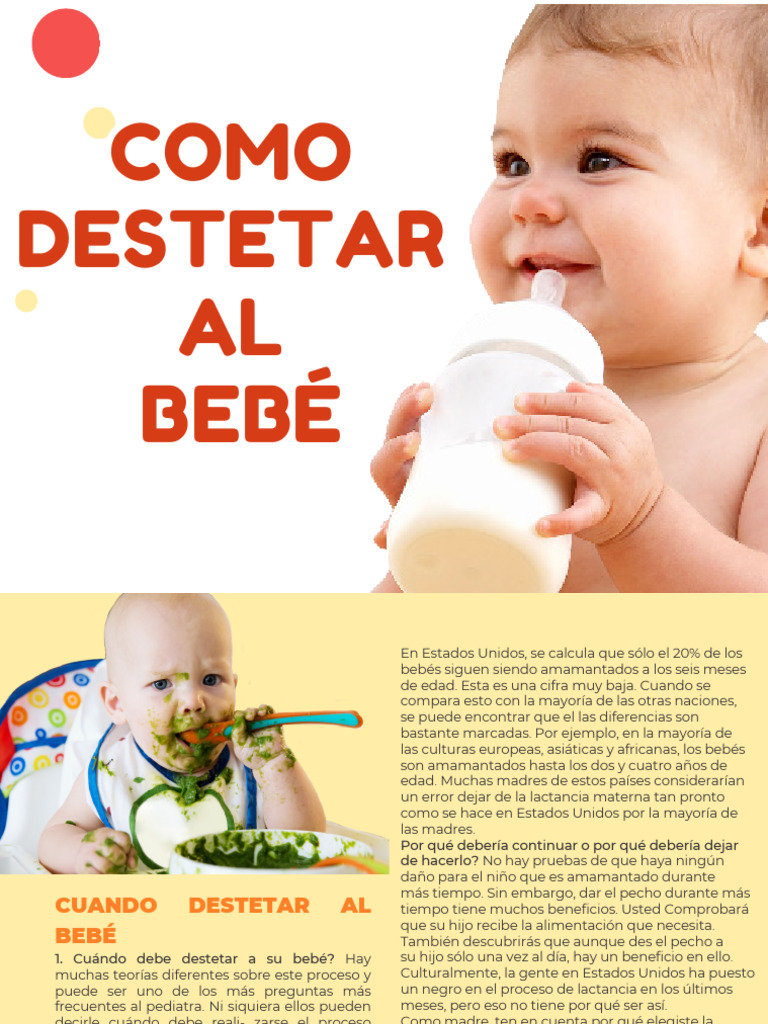 Bono Como Destetar Al Bebé PDF | PDF | Destete | Amamantamiento