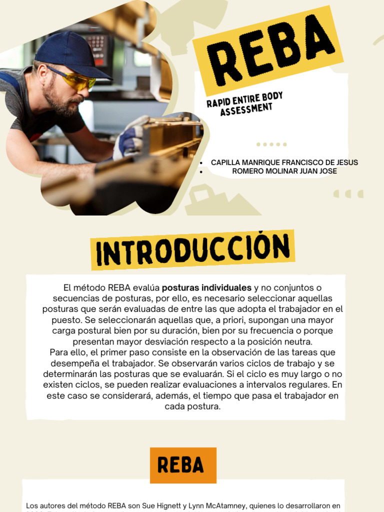 Método REBA y Lynn McAtamney | PDF