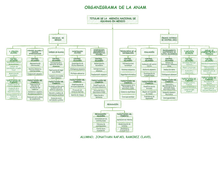 Organigrama de la ANAM | PDF | aduana | Business
