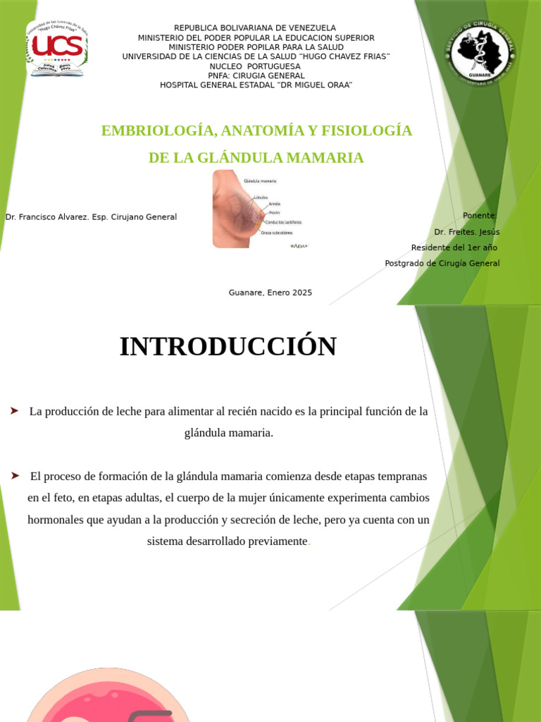 ANATOMIA Y FISIOLOGIA GLANDULA MAMARIA FREITES LISTOfr | PDF | Pecho ...