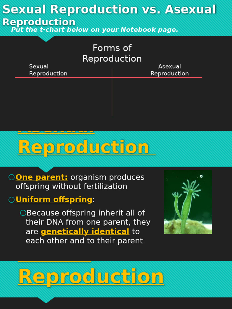 Sexual Reproduction vs. Asexual Reproduction | PDF | Sexual ...
