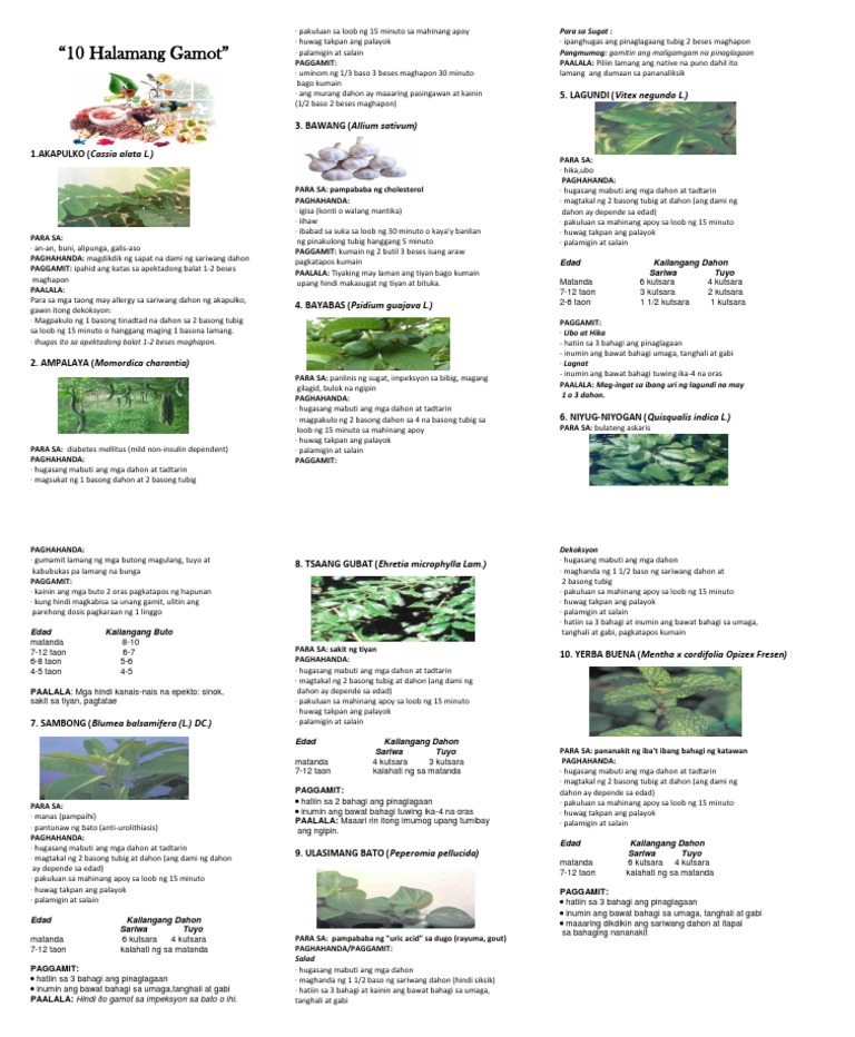 10 Halamang Gamot | PDF